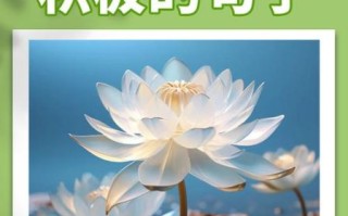 如何保持积极心态_正能量句子励志短句子