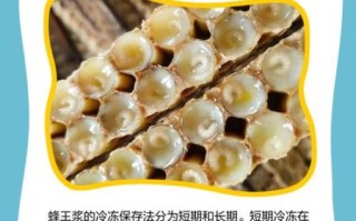 蜂王浆怎样保存更好_蜂王浆冷藏还是冷冻