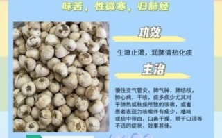 白贝母的功效与作用_白贝母怎么吃效果最好