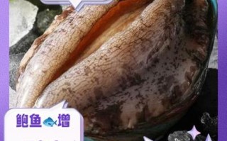 癌症病人能吃鲍鱼吗_鲍鱼对肿瘤的影响