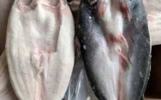 超市冷冻巴沙鱼能吃吗_冷冻巴沙鱼安全吗
