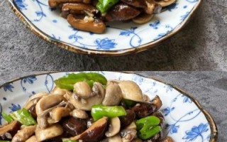 蘑菇怎么炒才好吃_家常蘑菇做法大全