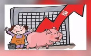 2021年底猪价会大涨吗_猪价上涨原因分析