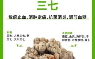 田七吃了有什么好处_田七的功效与作用