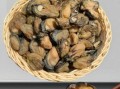 牡蛎干怎么做好吃_牡蛎干泡发技巧