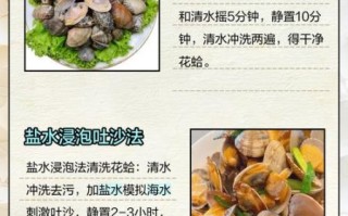 花蛤放清水里能活多久_花蛤清水保存技巧