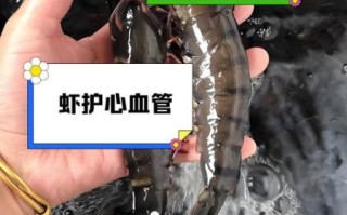 虾的营养价值有哪些_虾的功效与作用禁忌