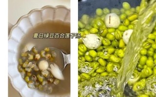 百合绿豆汤怎么煮_百合绿豆汤家常做法