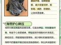 海带的营养价值及功效作用_海带怎么吃最健康