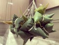 粽子是煮还是蒸几分钟_粽子蒸多久才熟