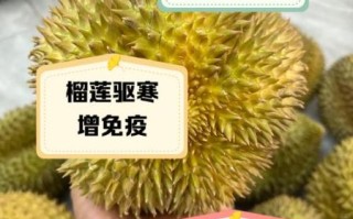 儿童吃榴莲有什么好处_小孩能吃榴莲吗