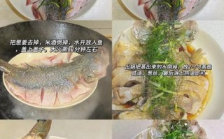 清蒸鱼怎么蒸好吃又简单_清蒸鱼做法步骤