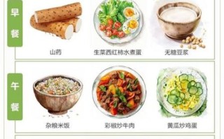 减肥食谱书怎么选_一周减脂餐怎么搭配