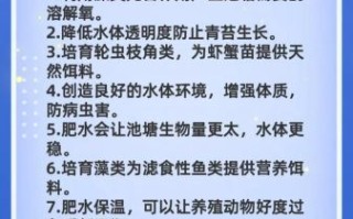 对虾怎么养不会死_对虾养殖新手常见问题