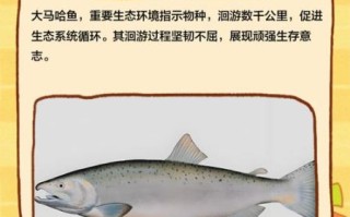 大马哈鱼为什么要回游_大马哈鱼回游路线怎么走