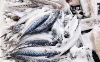 冷冻的海鱼怎么做好吃_解冻后还能保持鲜嫩吗