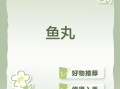 鱼丸游戏老版本怎么下载_鱼丸游戏老版本还能玩吗