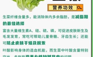 长期吃生菜有什么好处_生菜营养价值与功效