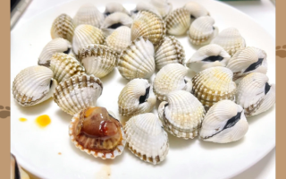 蚶子肉怎么清洗_蚶子肉有哪些吃法