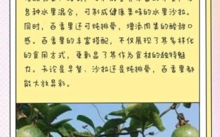 百香果减肥怎么吃_百香果减肥原理