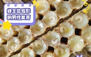 男人吃蜂王浆坏处_男性长期吃蜂王浆副作用