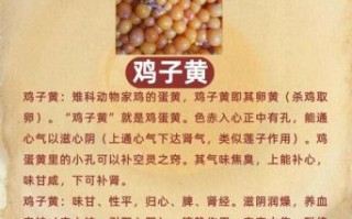 鸡子黄怎么入药_鸡子黄的功效与用法