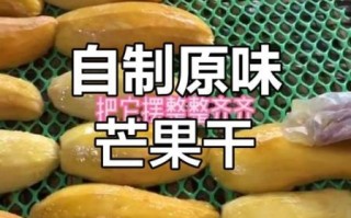 芒果干怎么做_芒果小零食做法