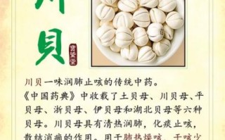 川贝母的副作用有哪些_川贝母禁忌人群