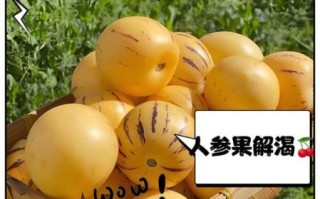 人参果的功效与作用_人参果的正确吃法