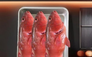 红色海鱼有哪些_常吃红色海鱼有什么好处