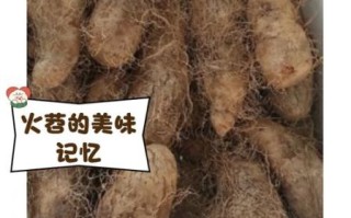 苕怎么读_苕字含义与用法 苕怎么读_苕字含义与用法