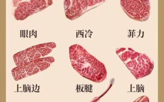 牛排是牛的哪个部位_牛排部位怎么选