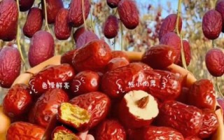 红枣图片大全大图唯美_红枣高清壁纸怎么选
