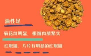 防风的功效与作用_防风怎么吃效果最好