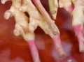 腌制生姜的做法_生姜怎么腌制才脆爽