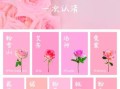 玫瑰花语大全_不同颜色代表什么