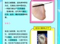 鱼肚是什么部位_鱼肚和鱼泡有什么区别