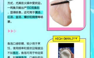 鱼肚是什么部位_鱼肚和鱼泡有什么区别