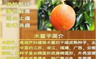 木鳖果的功效与作用怎么吃_木鳖果的正确吃法