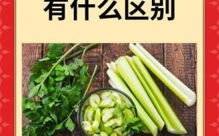 西芹和芹菜哪个营养好_西芹和芹菜的区别