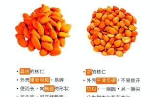 美国大杏仁的营养价值_美国大杏仁怎么挑选