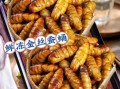 蚕蛹可以冷冻储藏吗_冷冻蚕蛹的正确方法