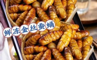 蚕蛹可以冷冻储藏吗_冷冻蚕蛹的正确方法