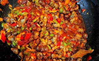 螺的做法大全_怎么炒田螺才干净不腥