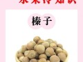 榛子是什么_榛子有哪些营养价值
