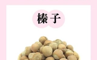 榛子是什么_榛子有哪些营养价值