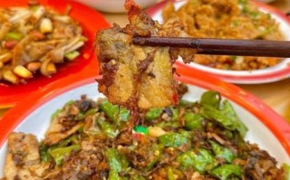 盐菜肉怎么做好吃_盐菜肉的做法步骤视频