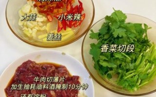 黄磊牛肉的做法大全集_黄磊牛肉怎么做才好吃