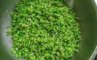 豆角肉馅饺子怎么做_豆角饺子馅怎么调才好吃