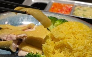 海南鸡饭电影国语在线看_哪里能免费观看